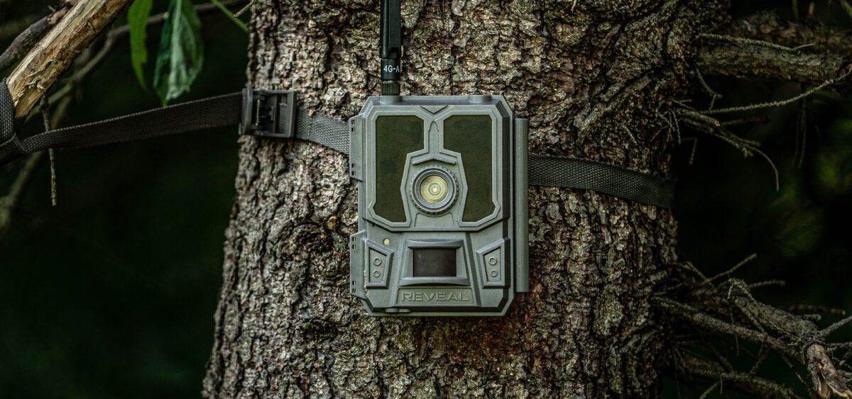 Reveal Cellular Camera by Tactacam | Gradient9 Studios